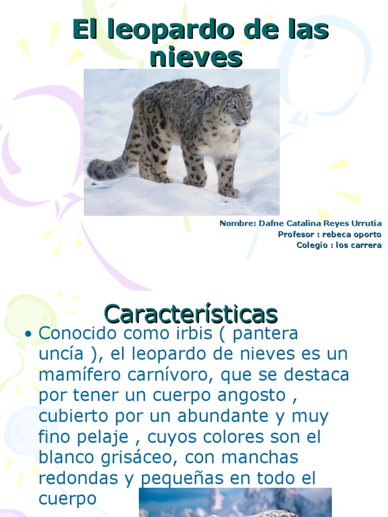 Características Del Leopardo De Las Nieves Pdf