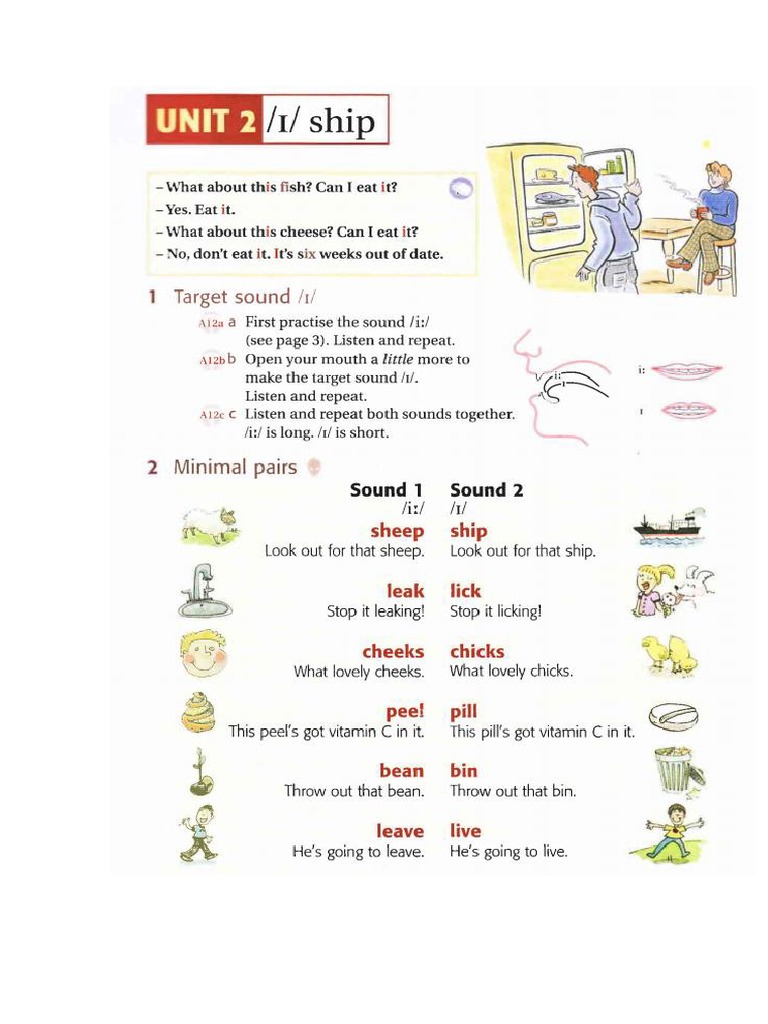 Ship or Sheep Unit 2 | PDF