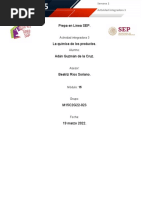 Módulo 17 Proyecto Integrador | PDF