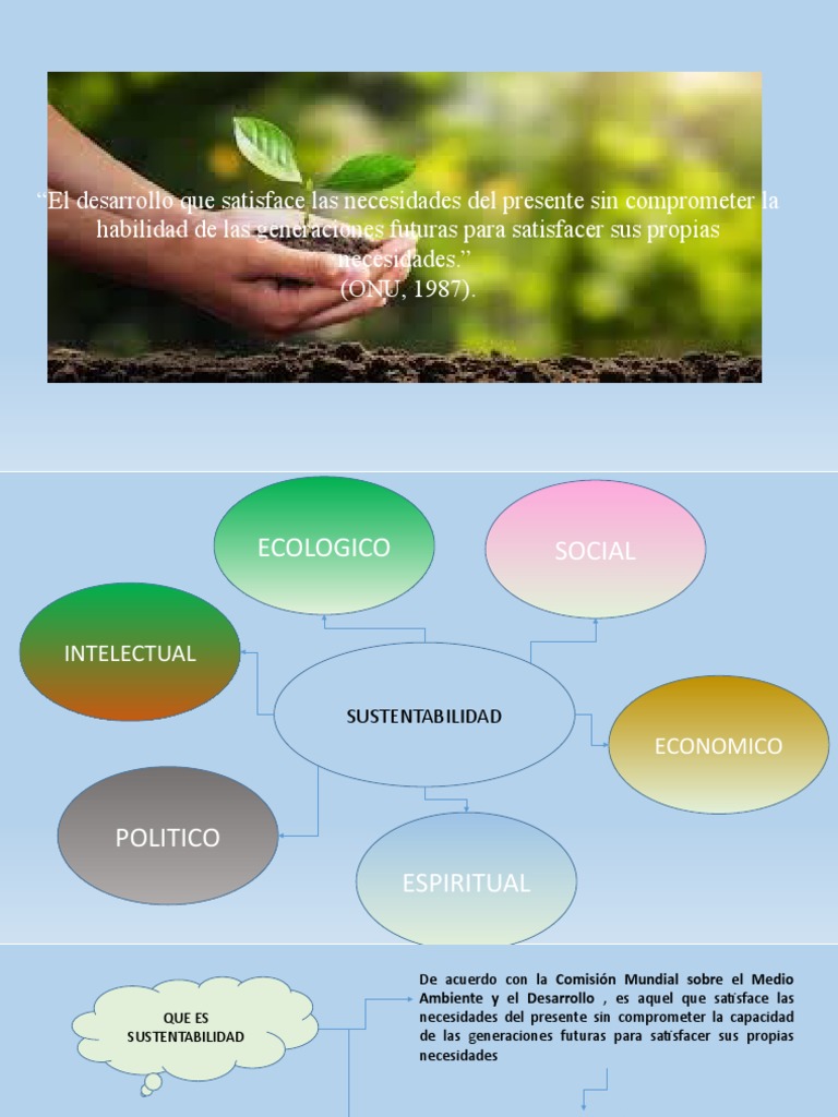 Ejes de La Sustentabilidad | PDF | Sustentabilidad | Desarrollo sostenible