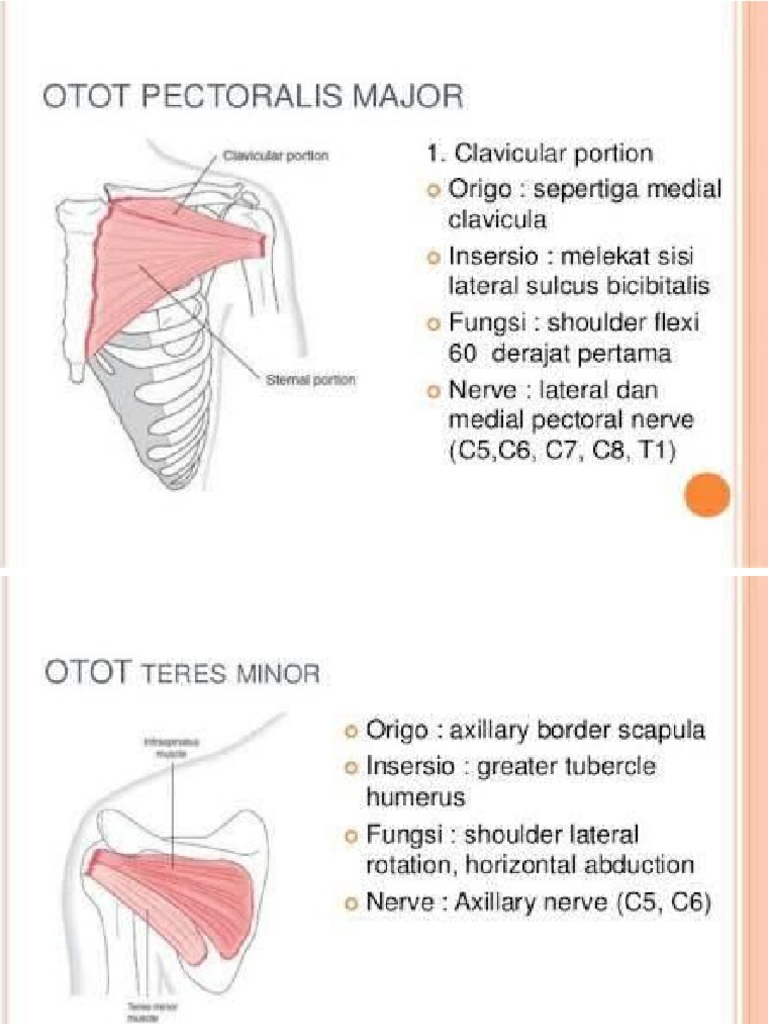 Origo Dan Insersio | PDF