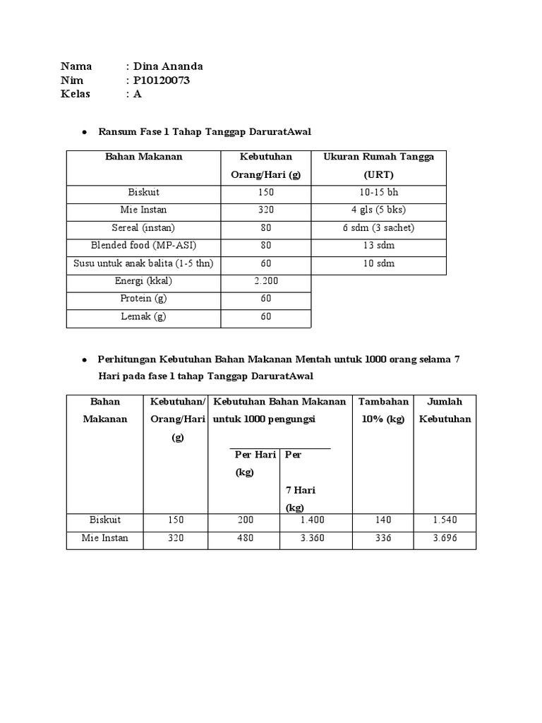 073 - Dina Ananda - P10120073 - Ransum | PDF
