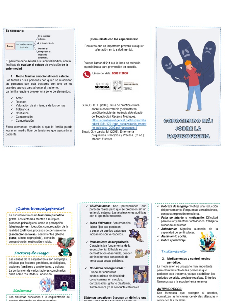 Tripticos de Plan de Alta PAE Trastorno de Conducta | PDF | Esquizofrenia | Psicosis