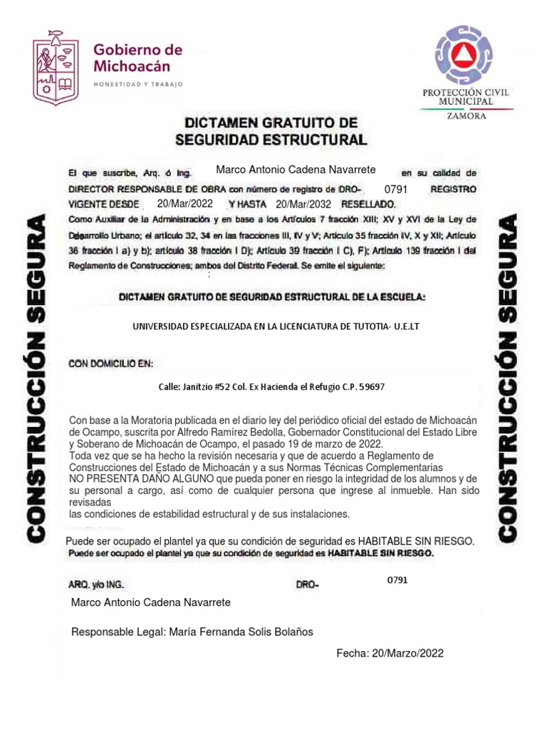 Constancia De Seguridad Estructural Formato