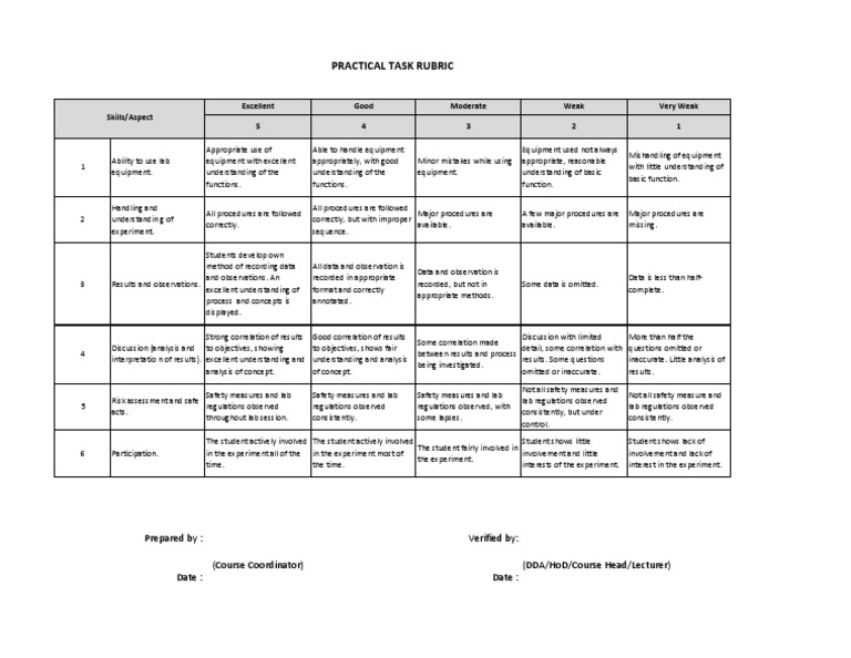 Rubric Practical Task | PDF | Experiment | Understanding