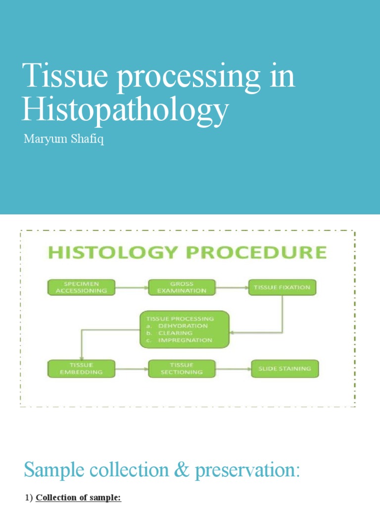 Tissue Processing in Histopathology: Maryum Shafiq | PDF ...