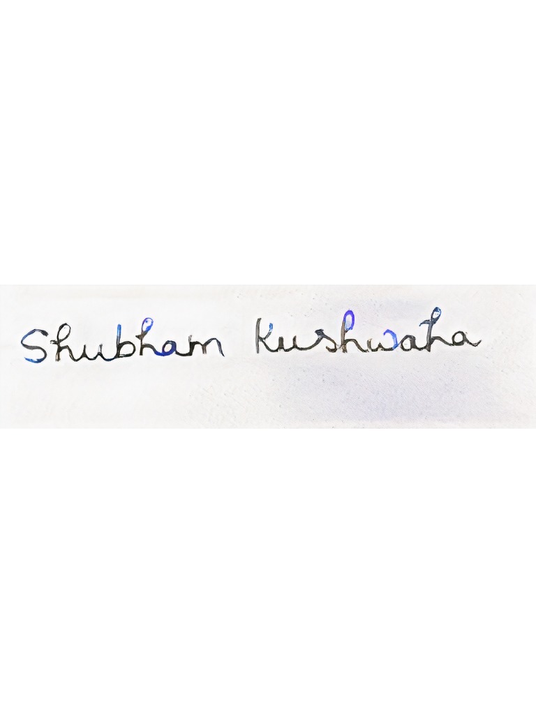 Shubham Signature | PDF