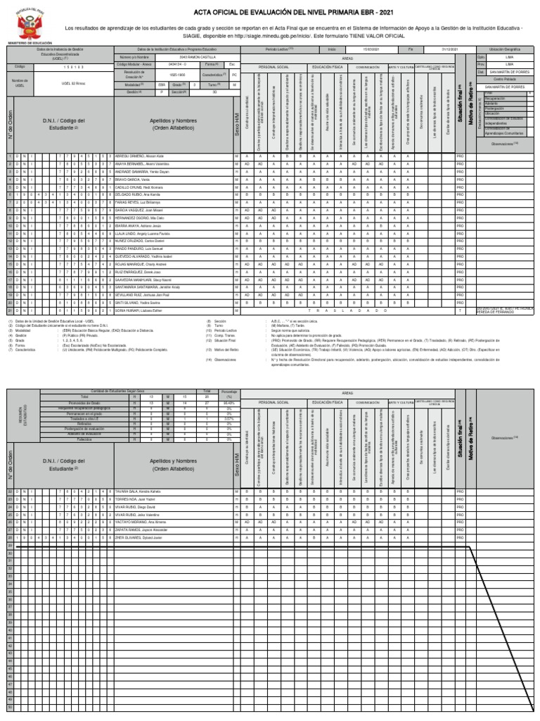 RPT Formato Oficial | PDF
