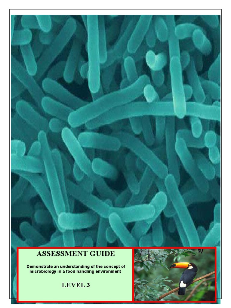 Assessment Guide 120235 | PDF | Educational Assessment | Microorganism
