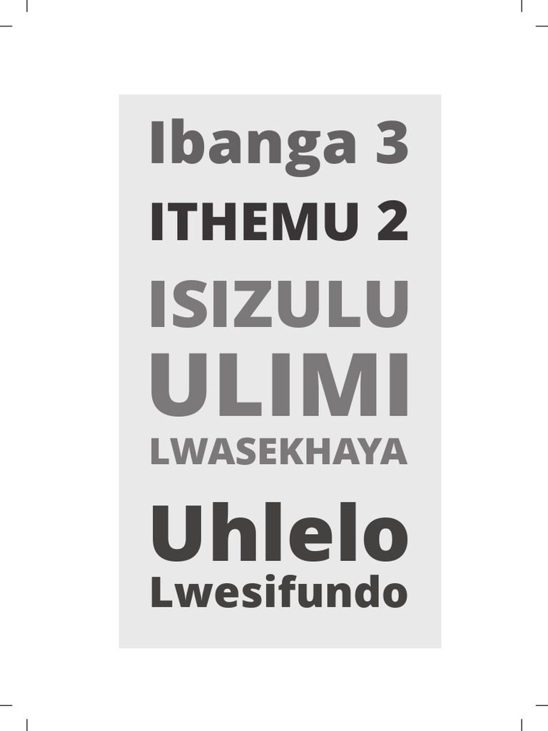 GR 3 Term 2 2020 HL IsiZulu Lesson Plan | PDF
