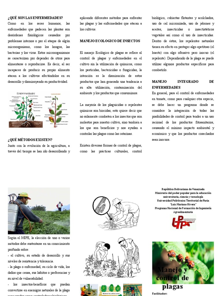 Triptico. Manejo Integral de Plagas | PDF | Plaga (organismo) | Pesticida