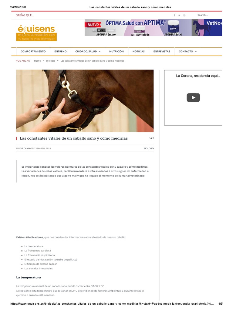 Las Constantes Vitales de Un Caballo Sano y Cómo Medirlas | PDF