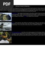 NOAA Shark Identification Placards | PDF | Sharks | Vertebrates