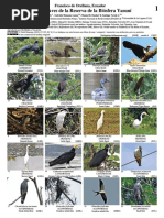CLASS 3 SCIENCE CHAPTER 3 BIRDS Mrs. Geetarani Das | PDF | Birds | Feather