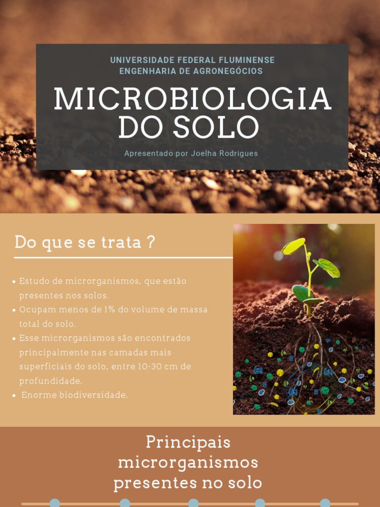Microbiologia Do Solo (Microrganismos) | PDF | Solo | Microrganismo