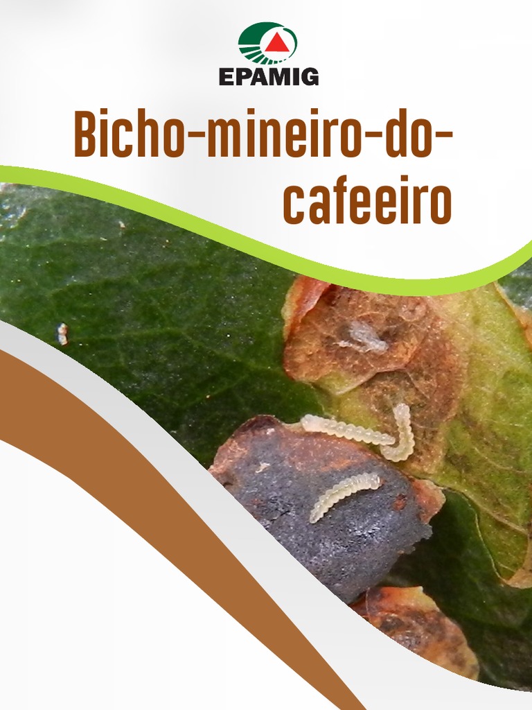Bicho Mineiro Do Cafeeiro | PDF