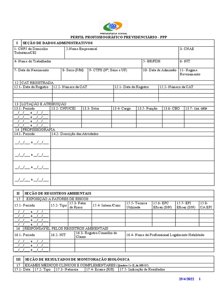 PPP - Formulário Final Completo | Download Free PDF | Governo | Governança