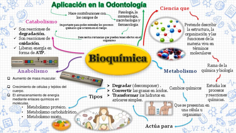 Bioquimica, Mapa Mental | PDF | Metabolismo | Química