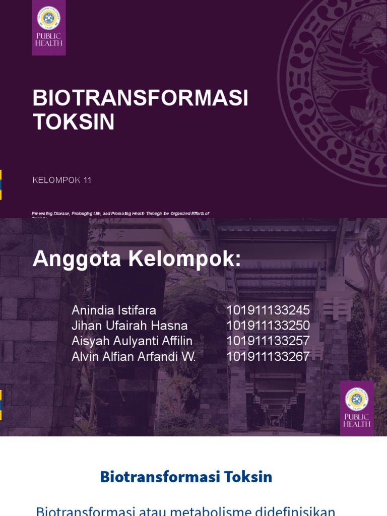 Biotransformasi Toksikan - Kelompok 11 | PDF