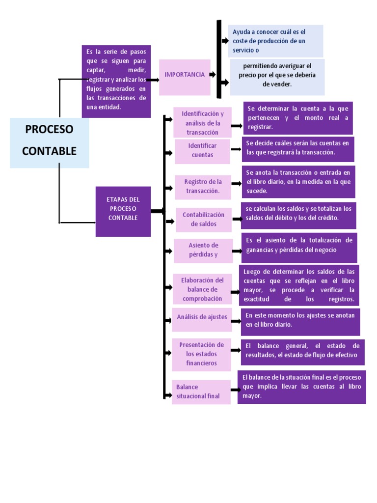 Organizador de Proceso Contable | PDF | Contabilidad | Economias
