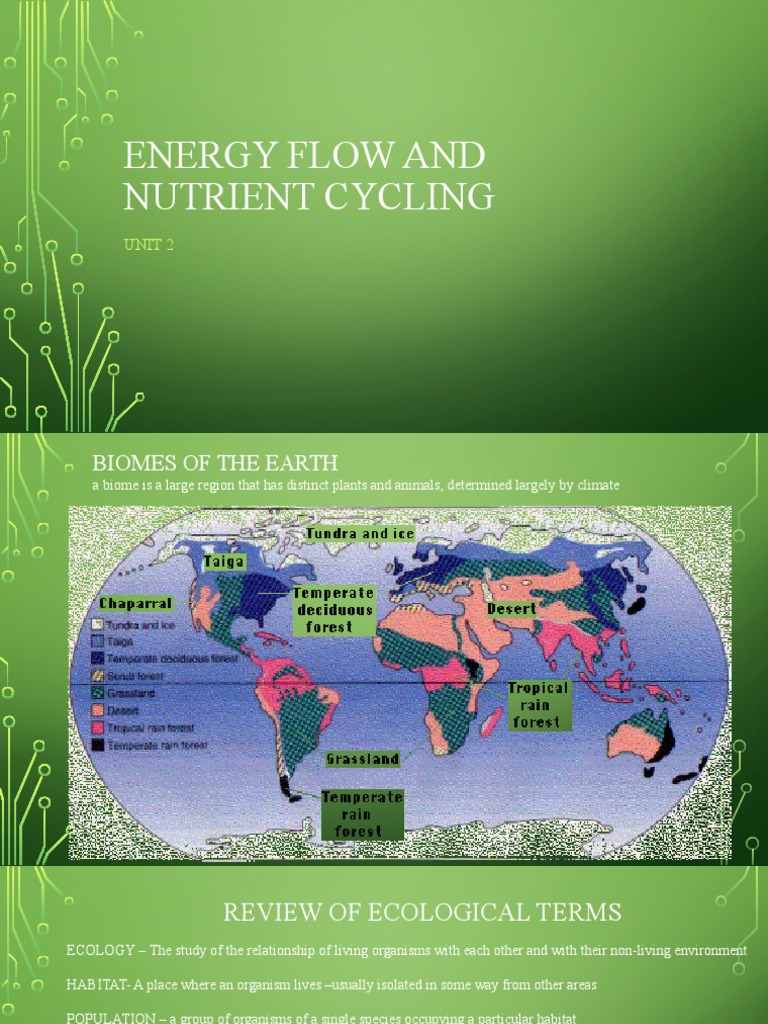 Energy Flow & Nutrient Cycling Basics | PDF | Food Web | Natural ...