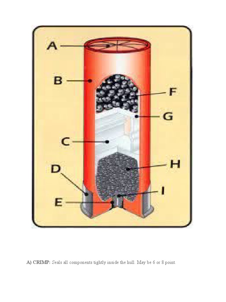 Components of a Shotgun Shell Explained | PDF