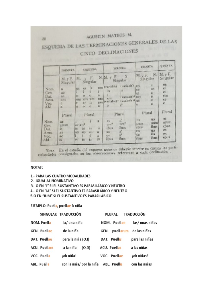 Esquema de 5 Declinaciones Con Notas | PDF