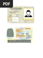 Cedula David. Definitiva | PDF