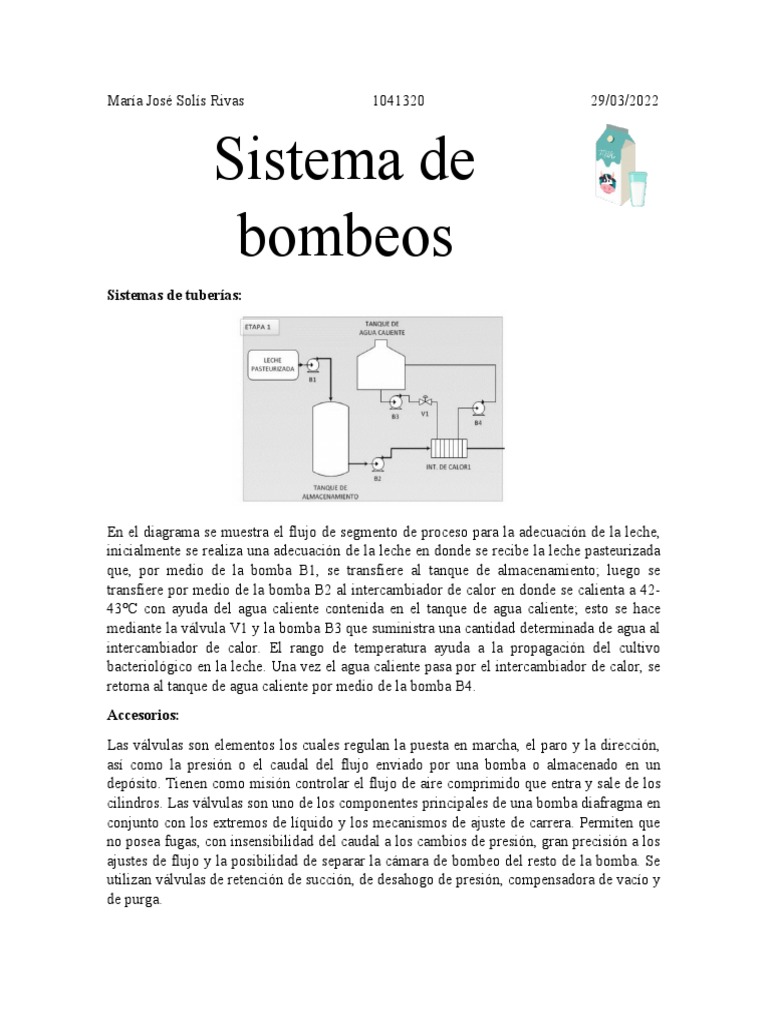 Sistemas de Bombeo | PDF | Bomba | Ingeniería mecánica
