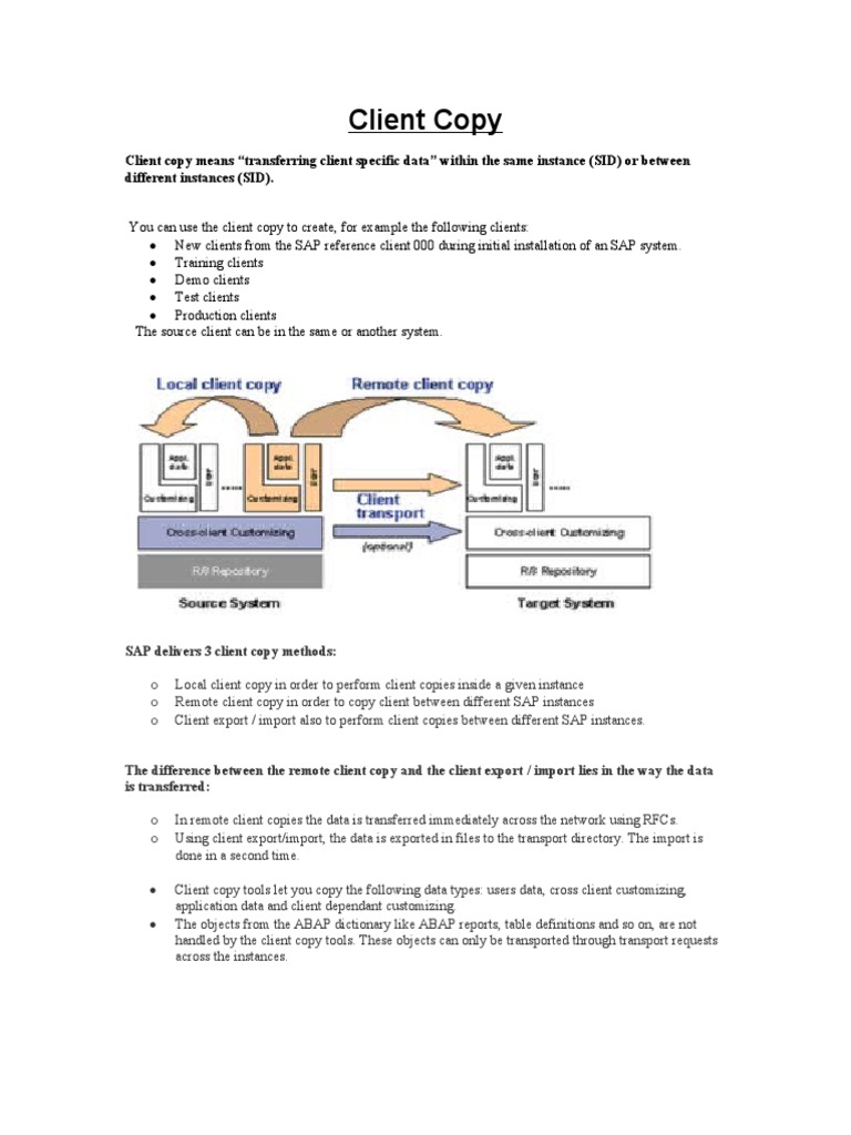 Client | PDF | Data Management | Software