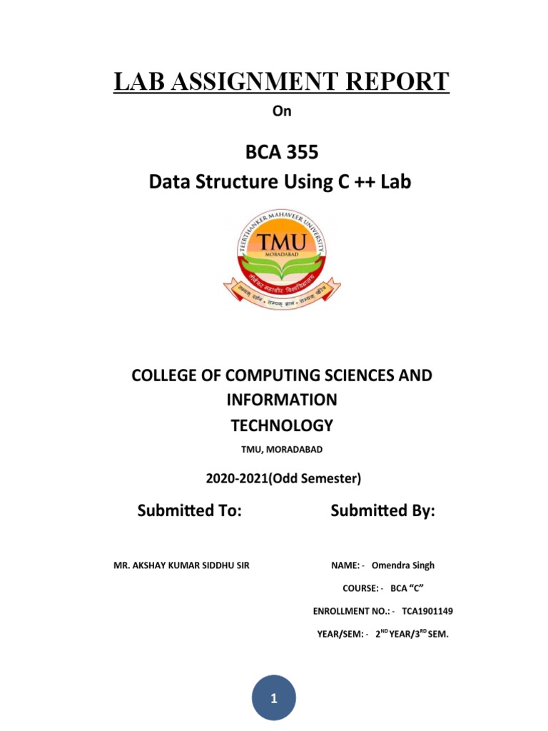 BCA lab assignment report on data structures | PDF | Queue (Abstract ...