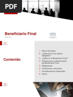 Declaración Del Beneficiario Final - ORIENTACION | PDF