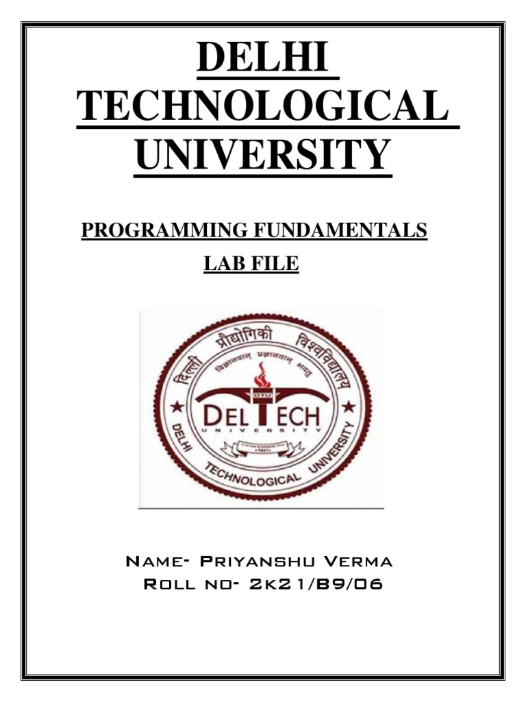 Programming Lab File Pdf Pointer Computer Programming Integer