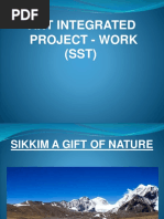 Narra Tree | PDF | Trees | Ecological Resilience