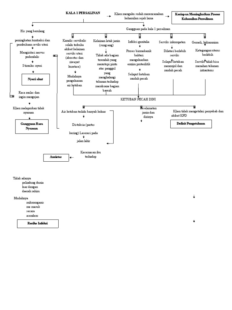 PDF Pathway KPD | PDF