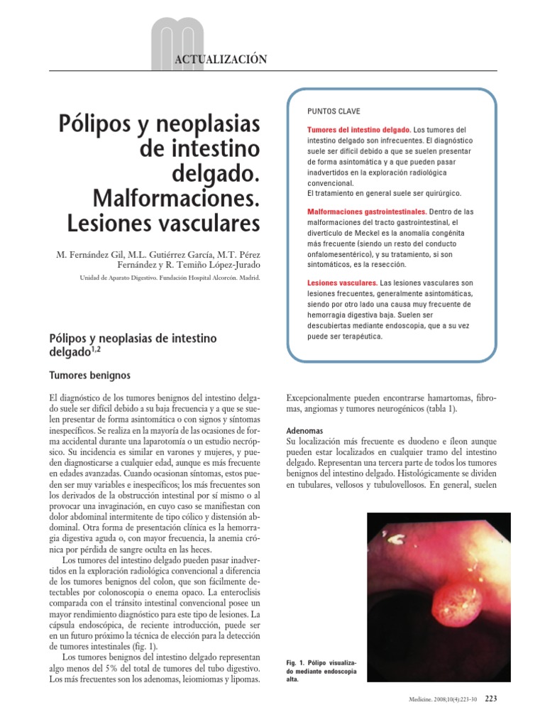 Tumores Intestino Delgado: Diagnóstico y Tratamiento | PDF | Intestino ...