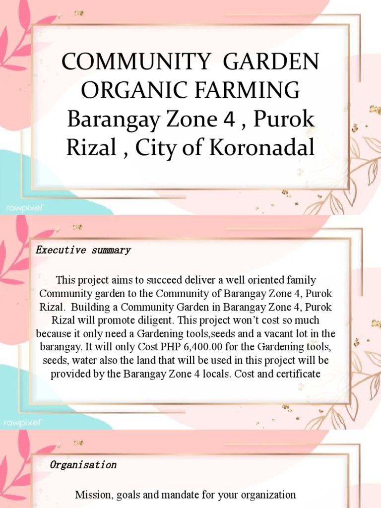 Community Garden Organic Farming Barangay Zone 4, Purok Rizal, City of ...