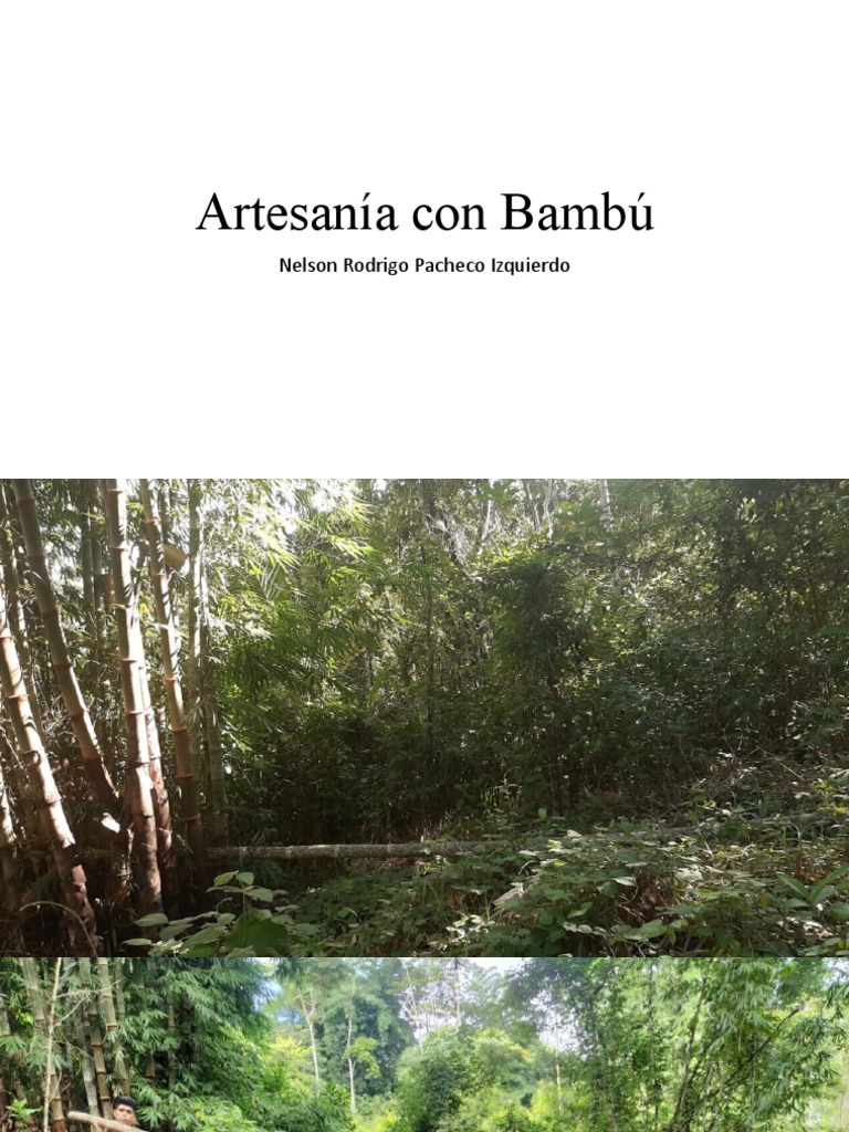 Artesanía con Bambú: Una variedad de objetos hechos a mano con bambú y ...