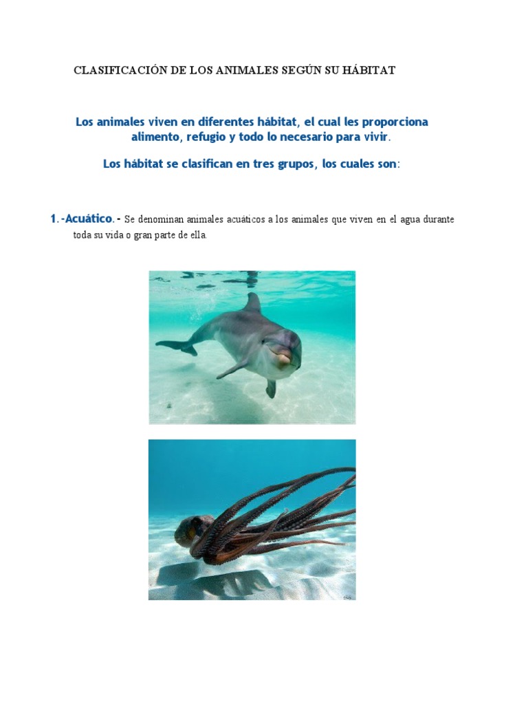 Clasificación de Los Animales Según Su Hábitat | PDF