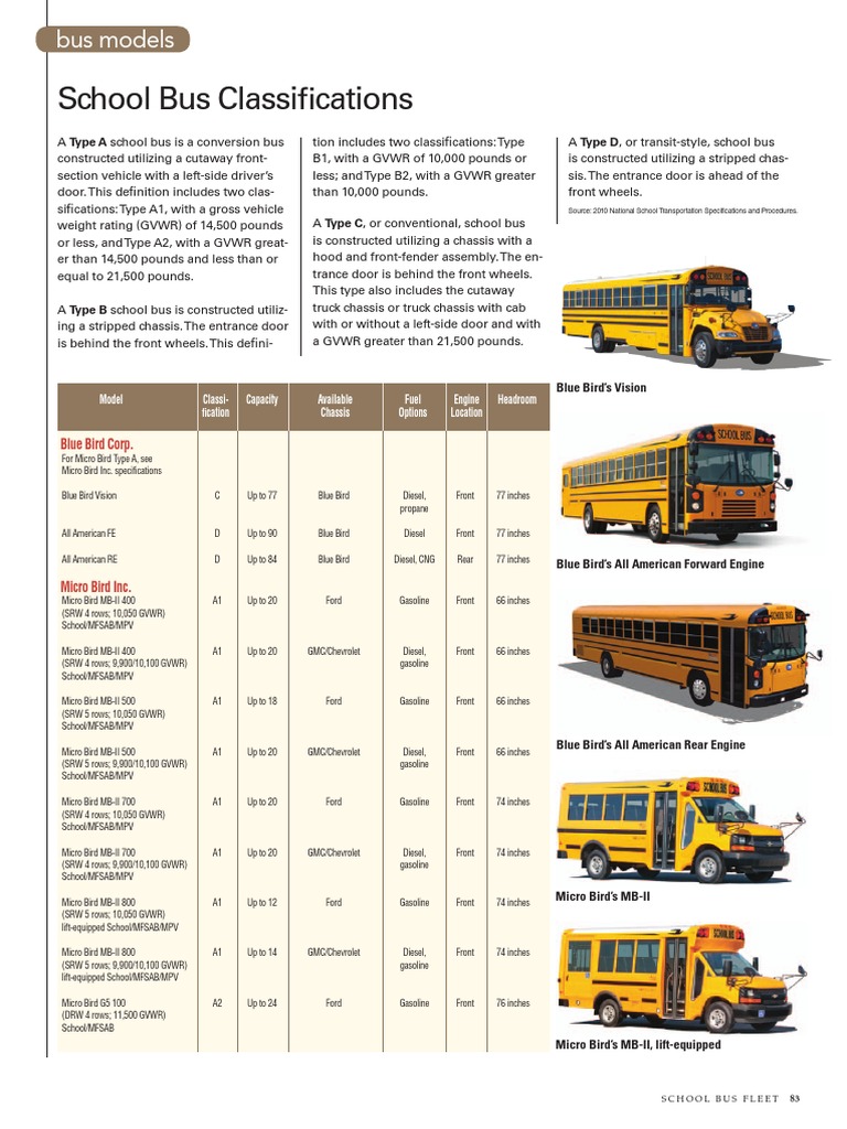 School Bus Classifications | PDF | School Bus | Motor Vehicle ...