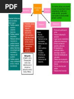 Mapa Conceptual Discapacidad Motriz | PDF