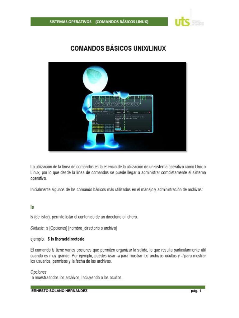 15 Comandos Básicos Linux 2020 | PDF | Archivo de computadora | Directorio (Computación)