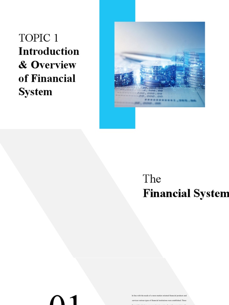 Topic 1: & Overview of Financial System | PDF | Financial Markets ...