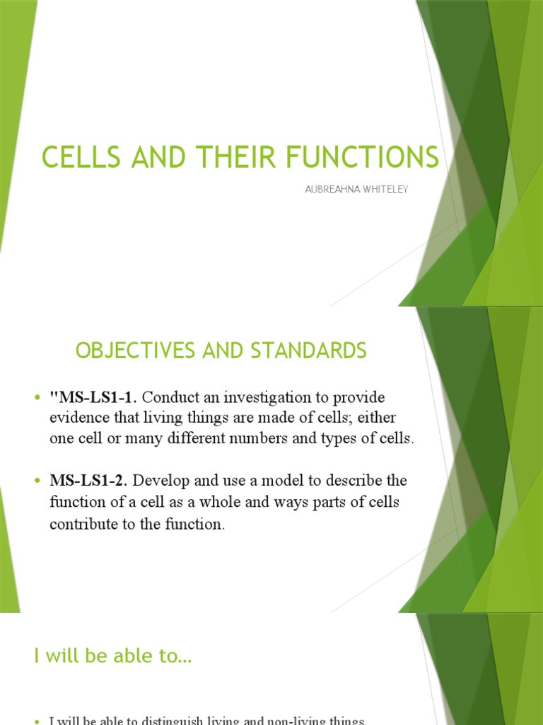 Lesson Plan | PDF | Cell (Biology) | Life