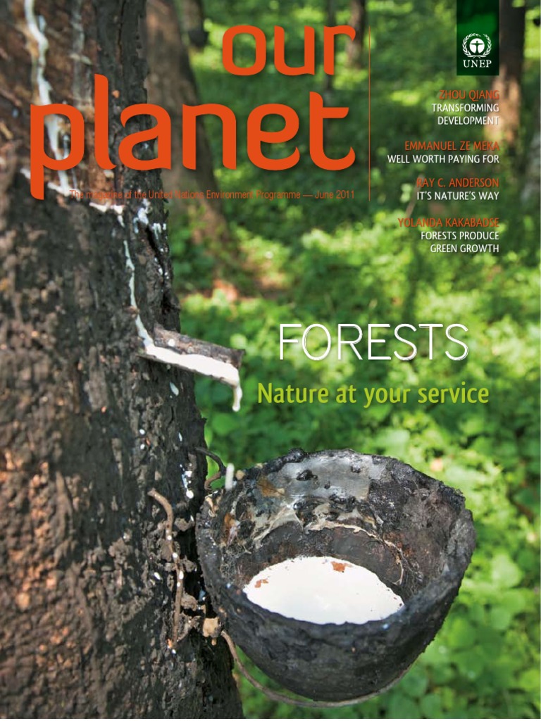 Our Planet: FORESTs Nature at Your Service | PDF | Reducing Emissions ...