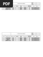 Formato Rips Diligenciar en Excel | PDF | Informática | Business