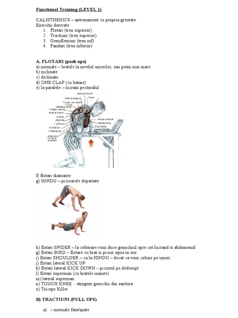 Functional Training (LEVEL 1) | PDF | Strength Training | Recreation