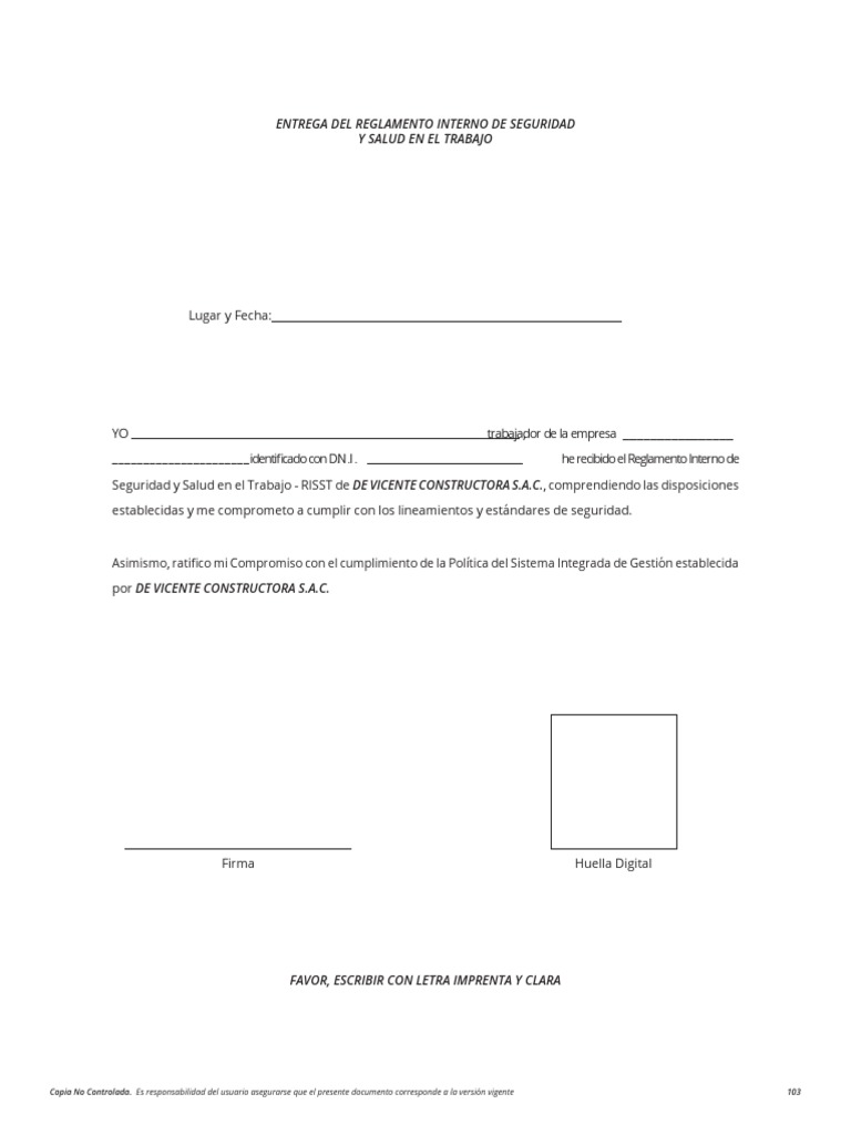 Cargo de Entrega RISST | PDF