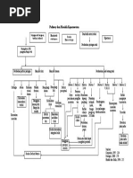 Pathway Stroke Infark | PDF