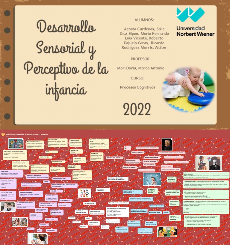 Desarrollo Sensorial Y Perceptivo de La Infancia | PDF
